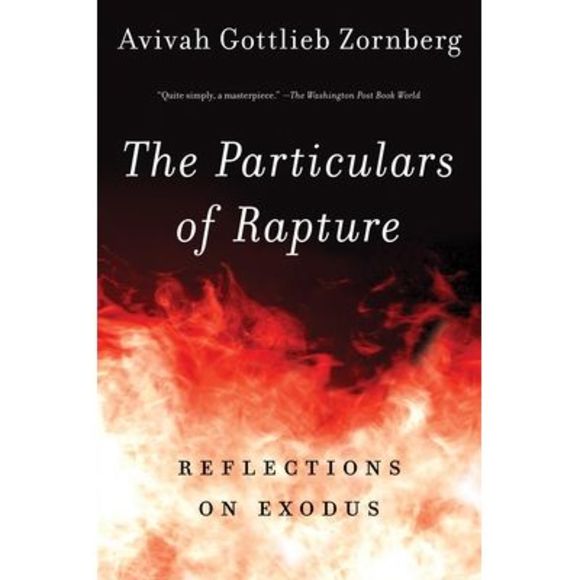 Avivah Gottlieb Zornberg | Other | The Particulars Of Rapture ...